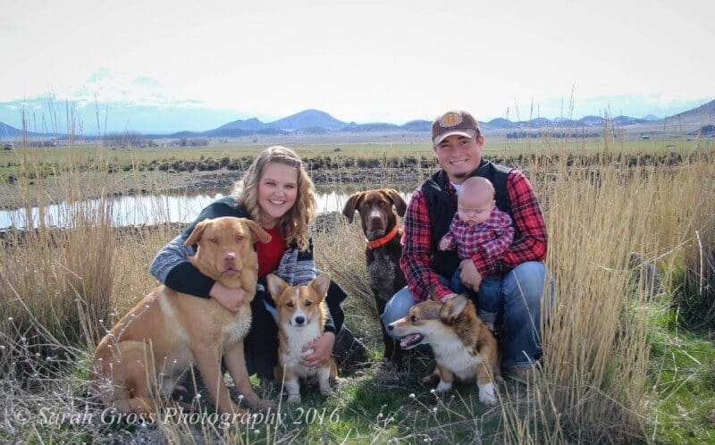 12772054_972872452795079_1013034144337620043_o - Rescue Ranch Inc.