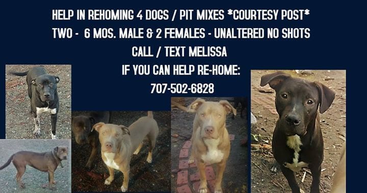 SOS - Rescue Ranch Inc.