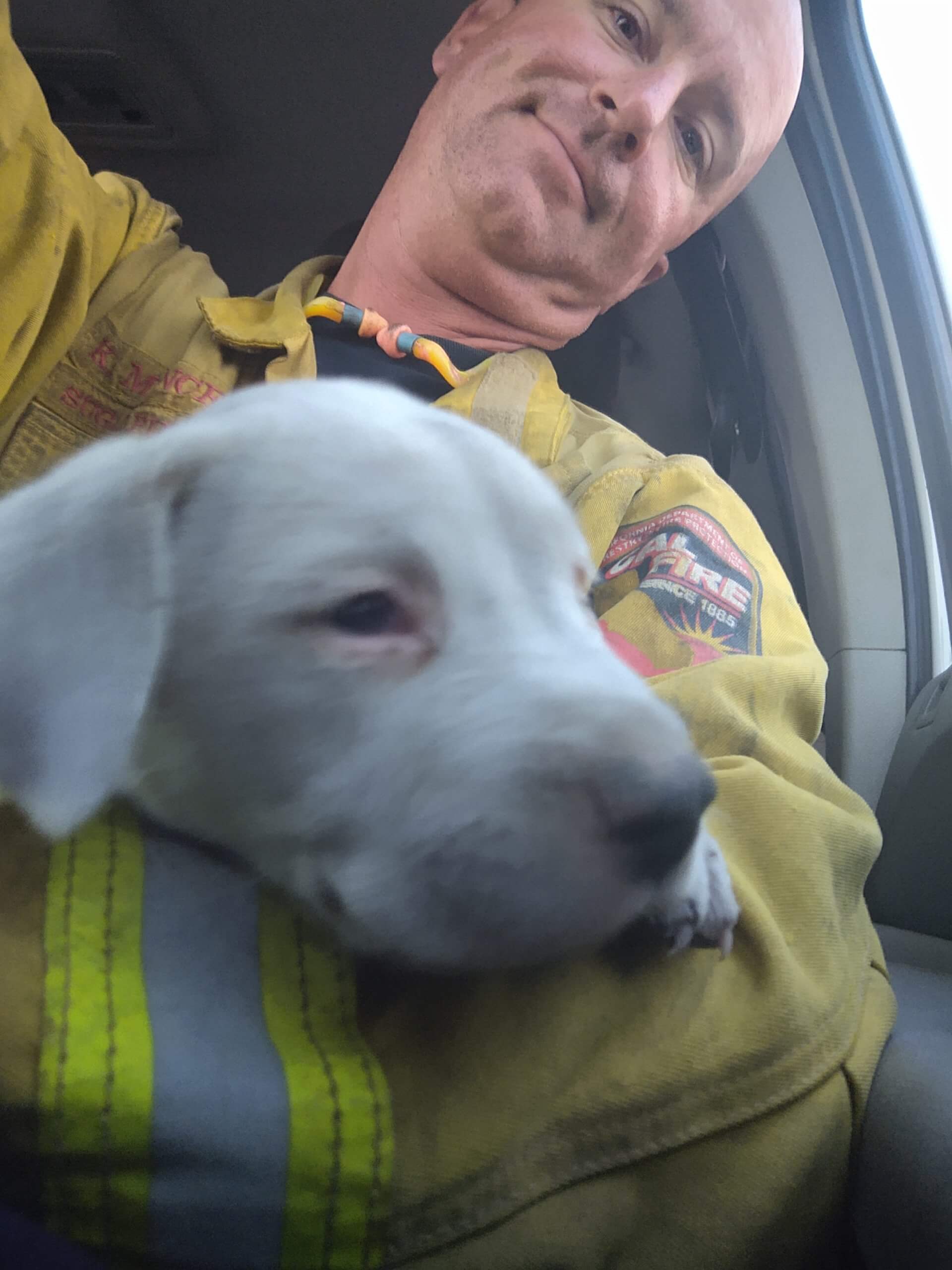 Puppy Orphan Found and Rescued from Fire Ashes by Loving First Responder
