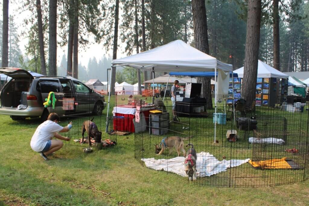 Explore Volunteer Opportunities - Rescue Ranch Inc.