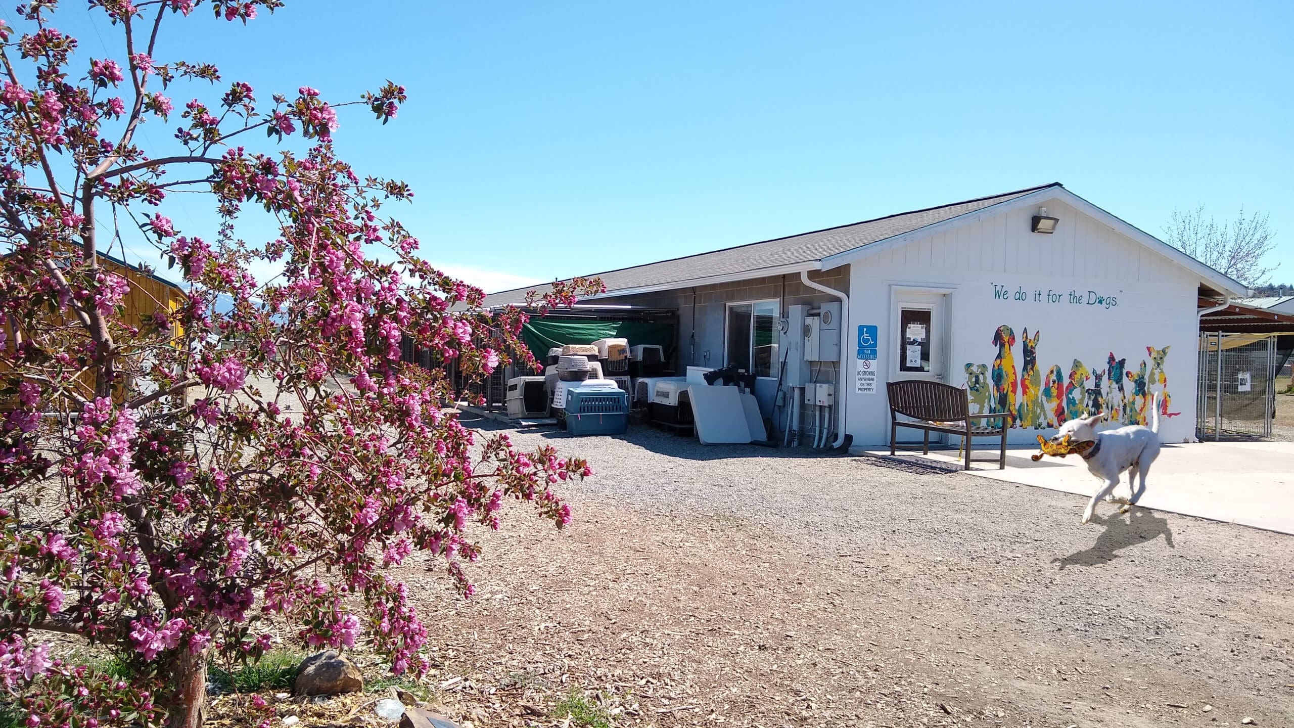 Rescue Ranch General Fund - Rescue Ranch Inc.