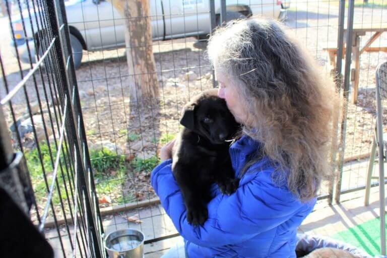 About Our Puppy Adoptions - Rescue Ranch Inc.
