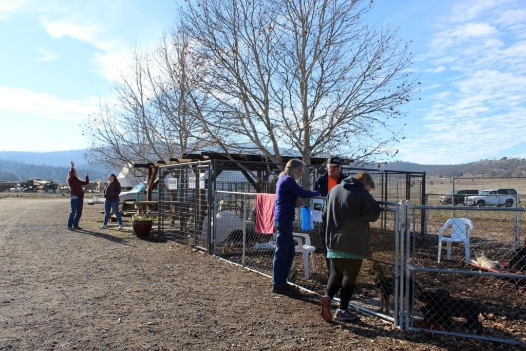 About - Rescue Ranch Inc.