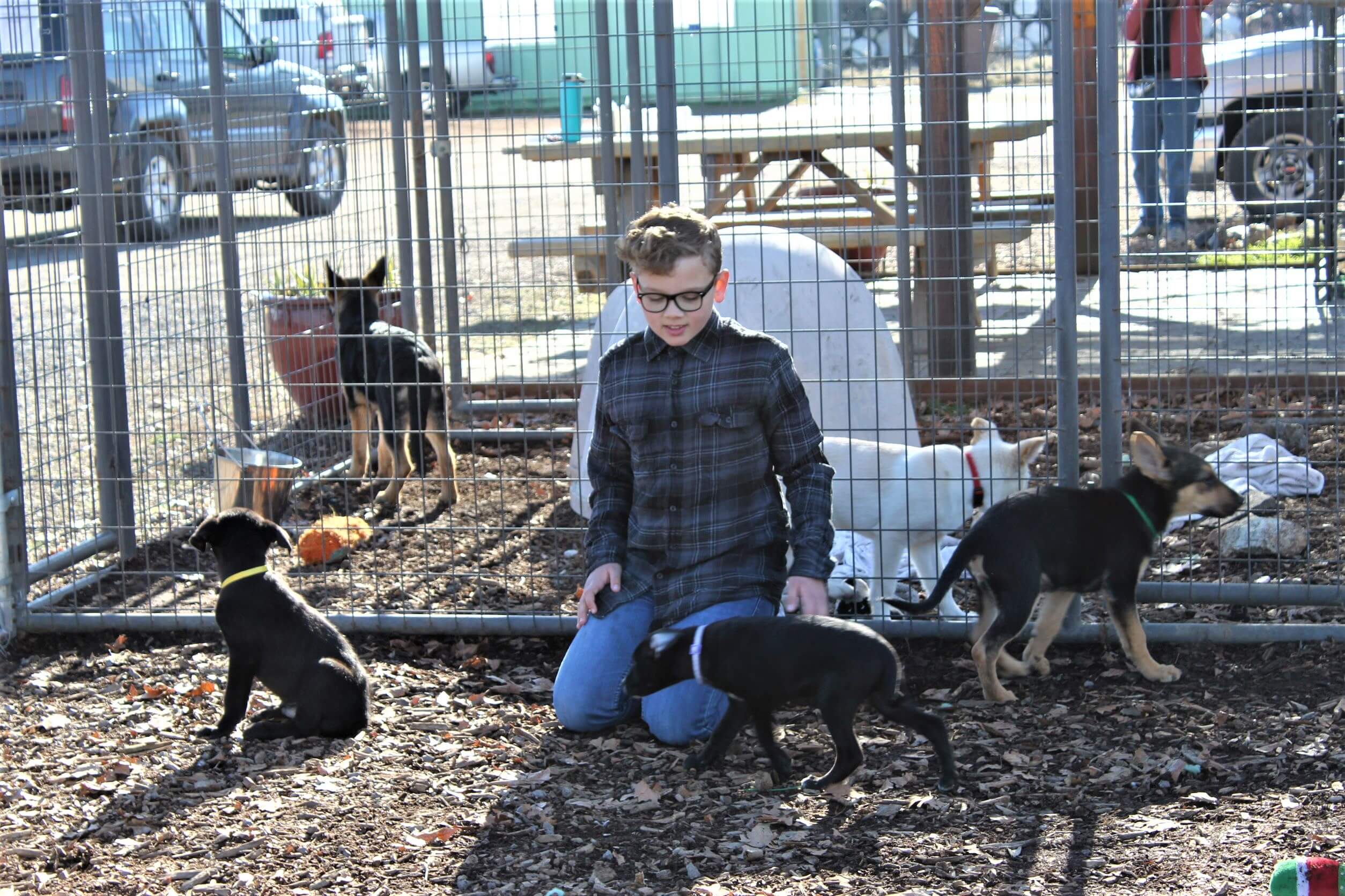 About Our Puppy Adoptions - Rescue Ranch Inc.