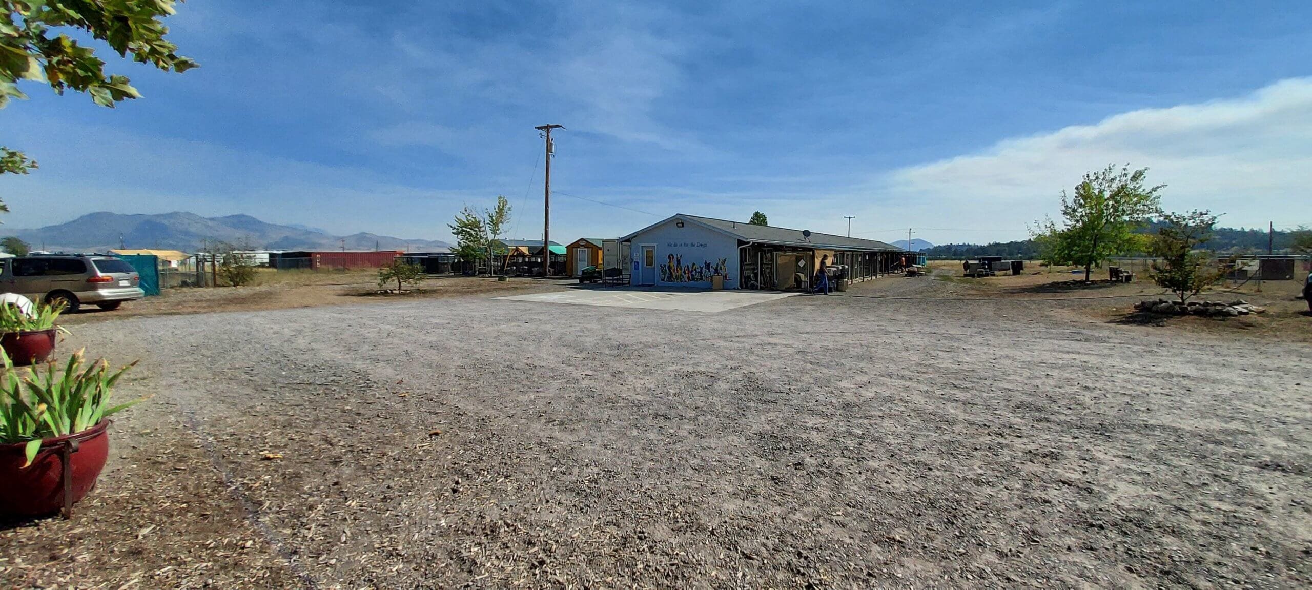 Rescue Ranch This Year Is Thankful For Its Incredible Adopters And ...