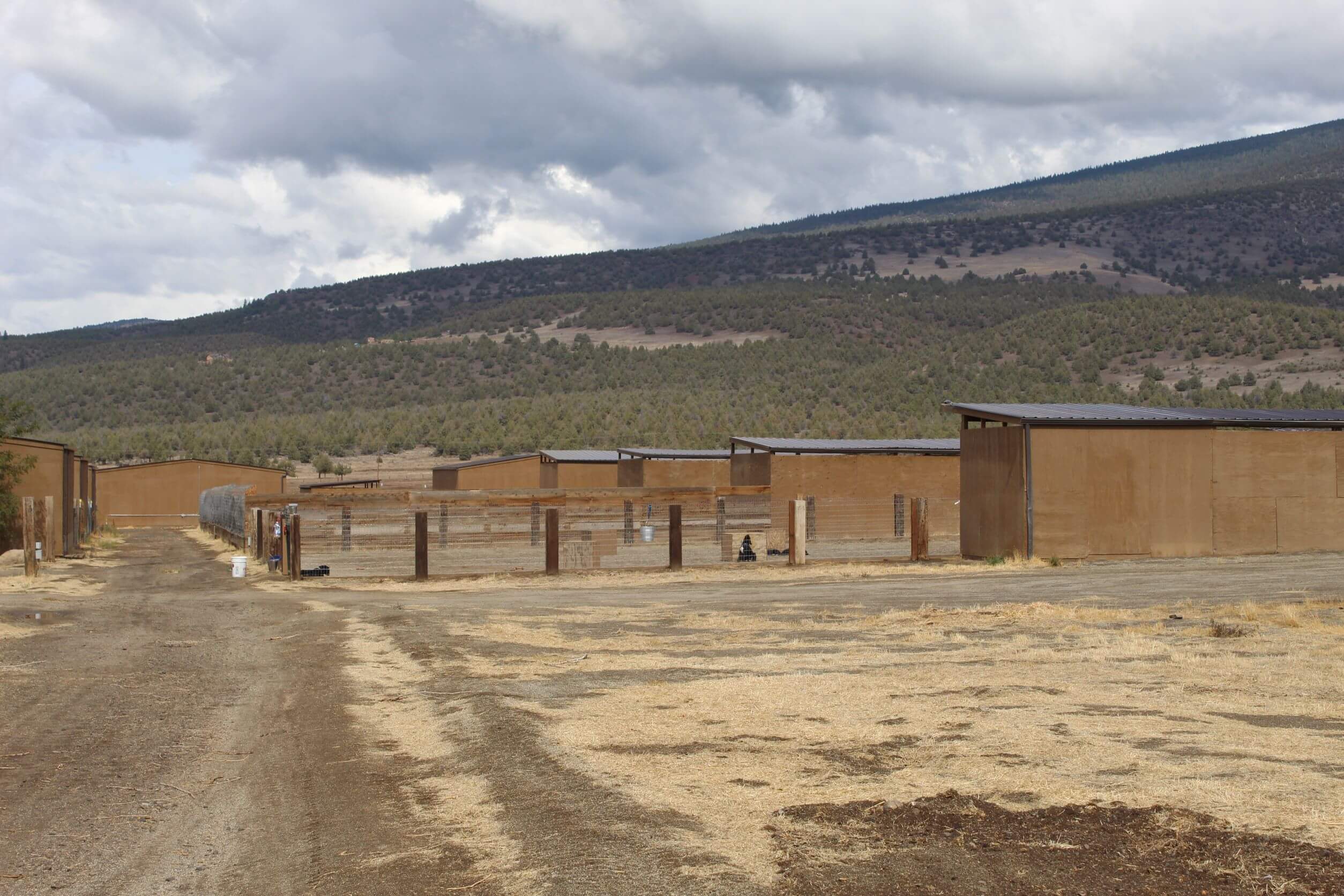 Sanctuary_WS new fencing - Rescue Ranch Inc.