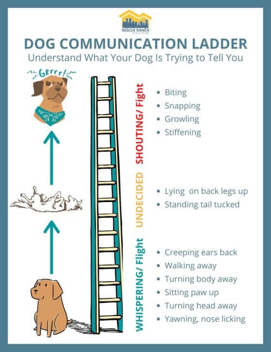 DOG COMMUNICATION LADDER - Rescue Ranch Inc.