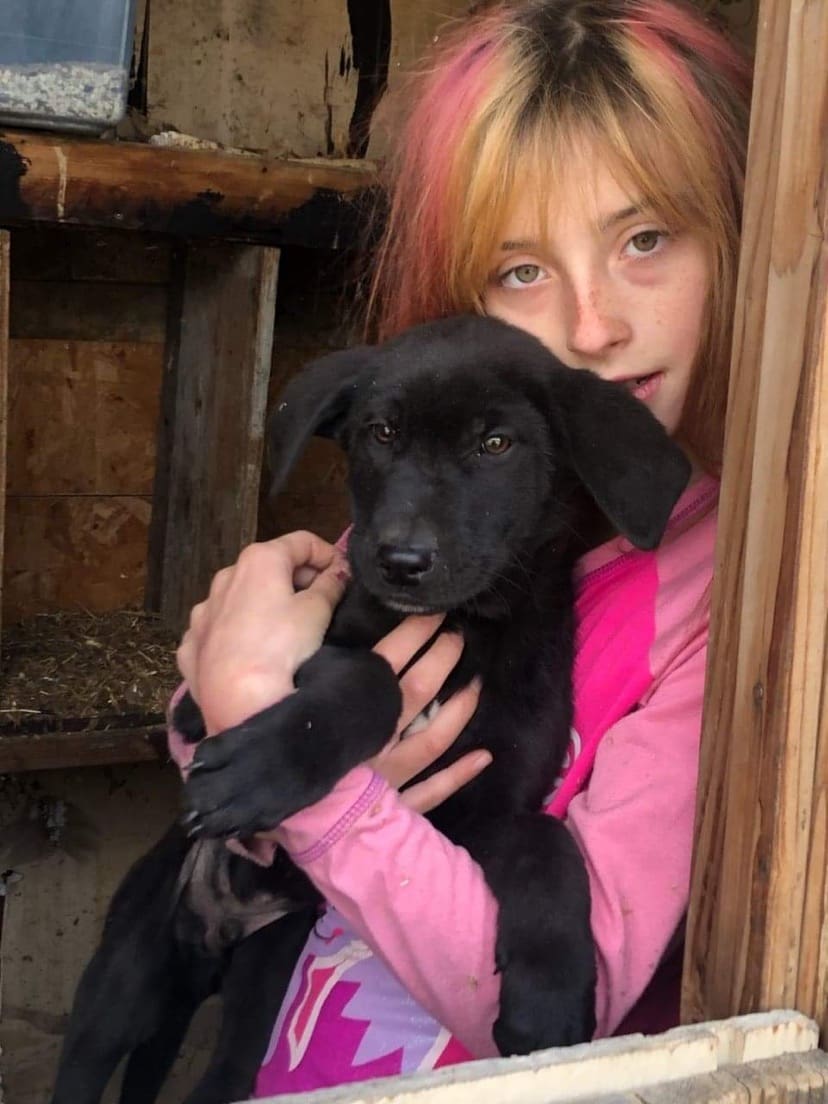 2 Pups need home ASAP - Rescue Ranch Inc.