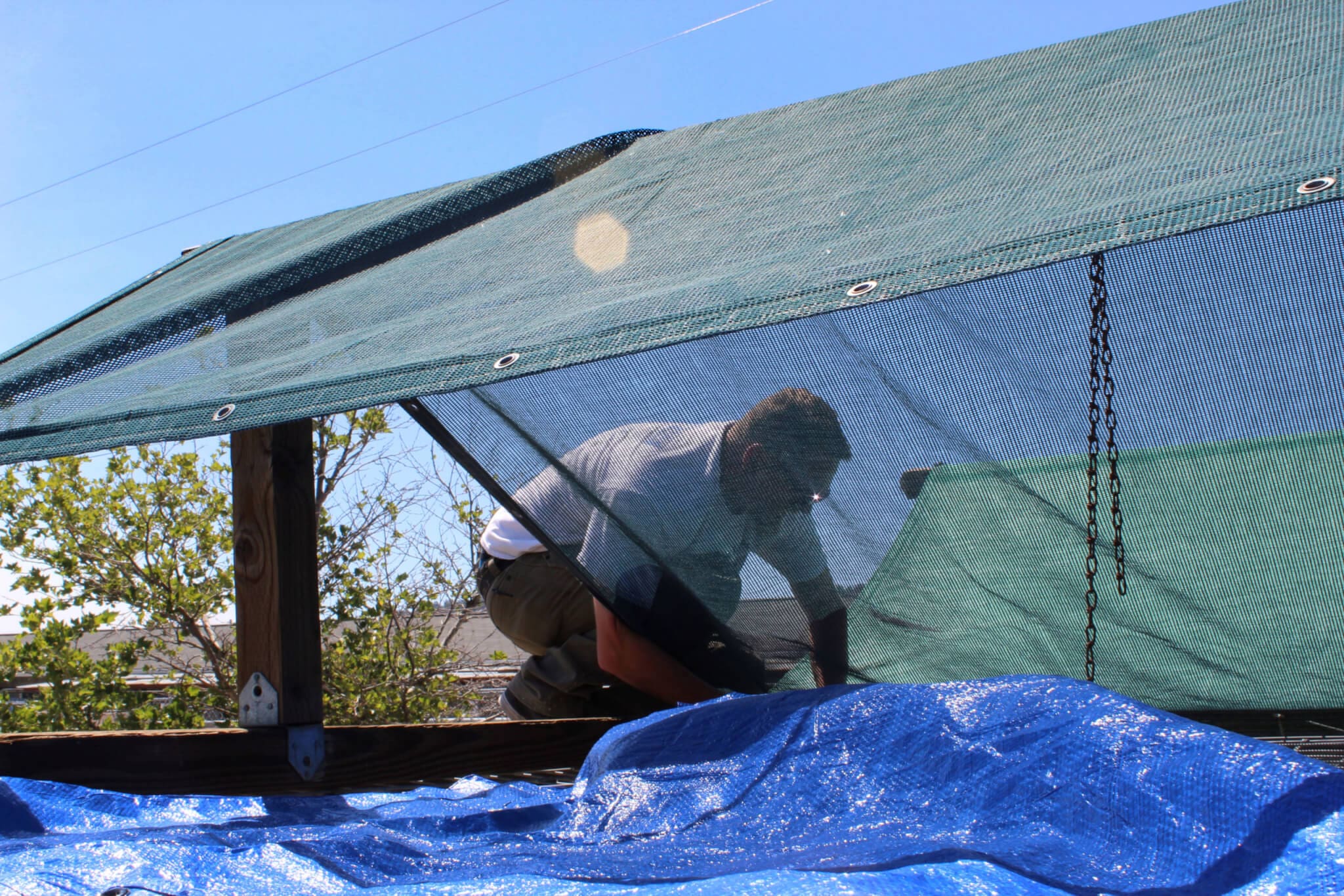 Rescue Ranch Adoption Center Is Saying Goodbye To A Key Team Member