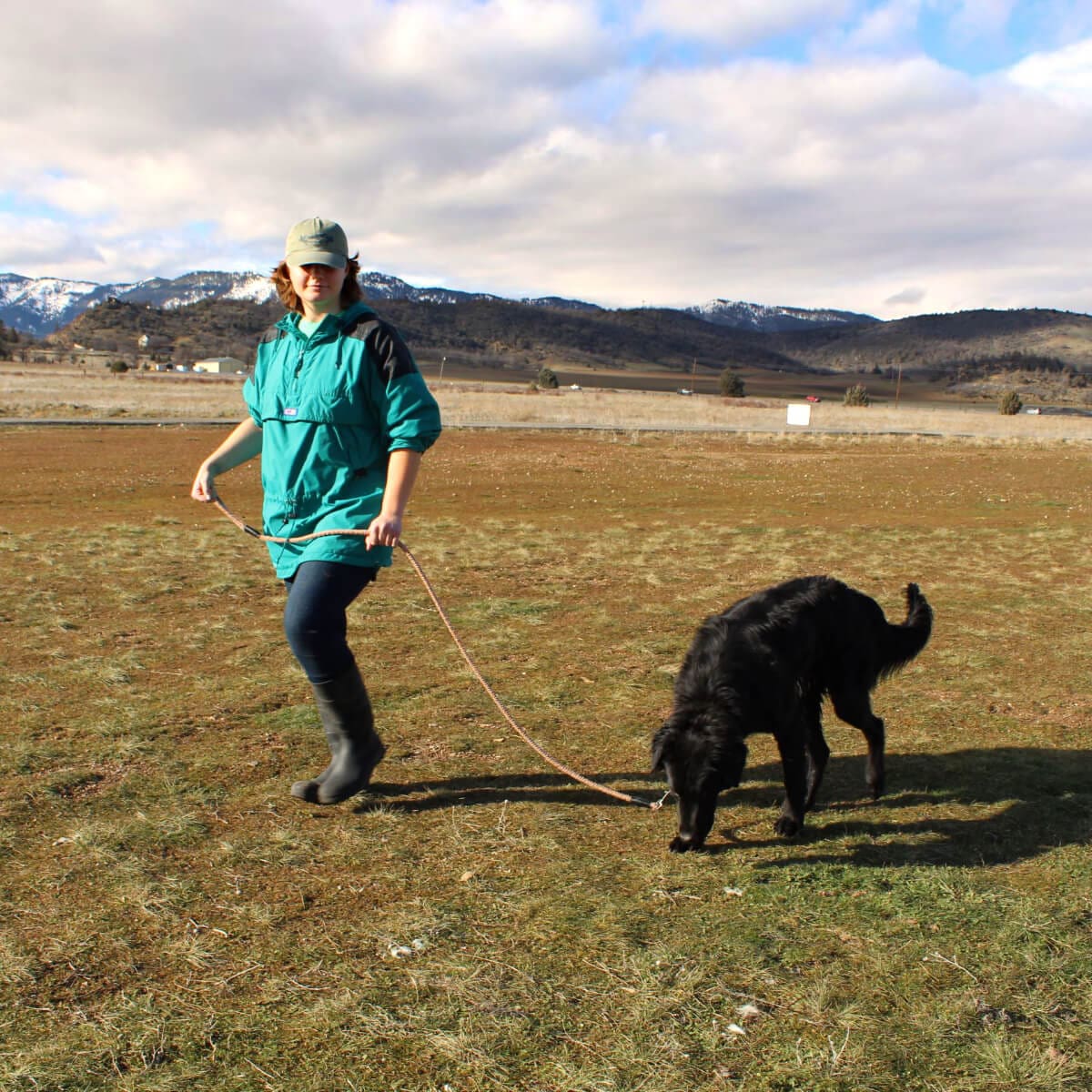 Sydney Walking Rescue Ranch Dog - Rescue Ranch Inc.