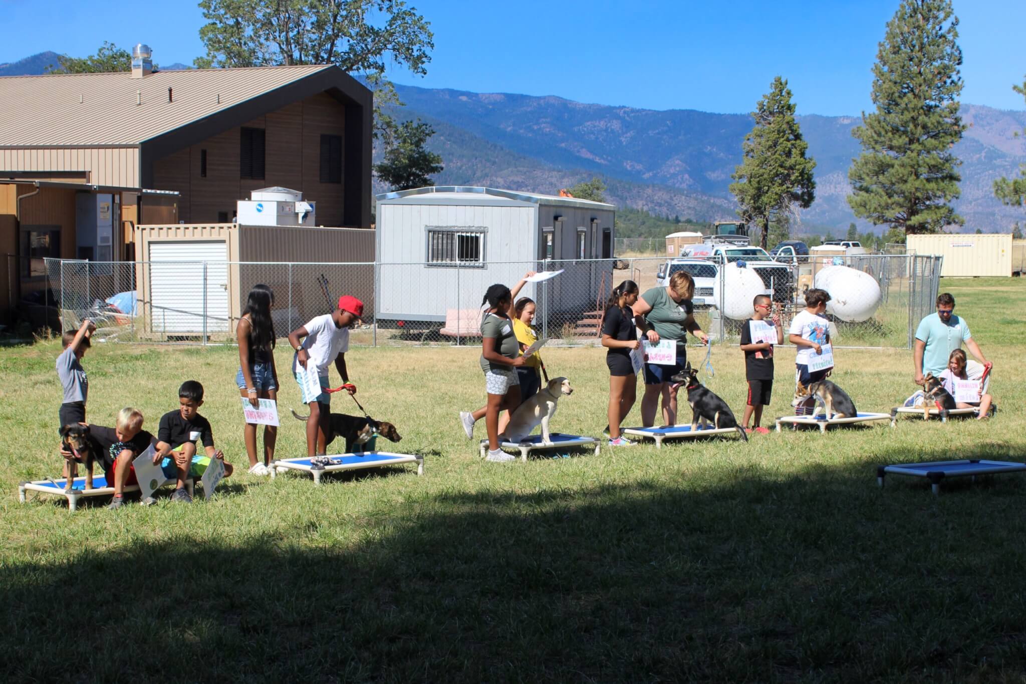 Dog Socialization Training Camp For Kids: 5 Days To A Confident Pup ...