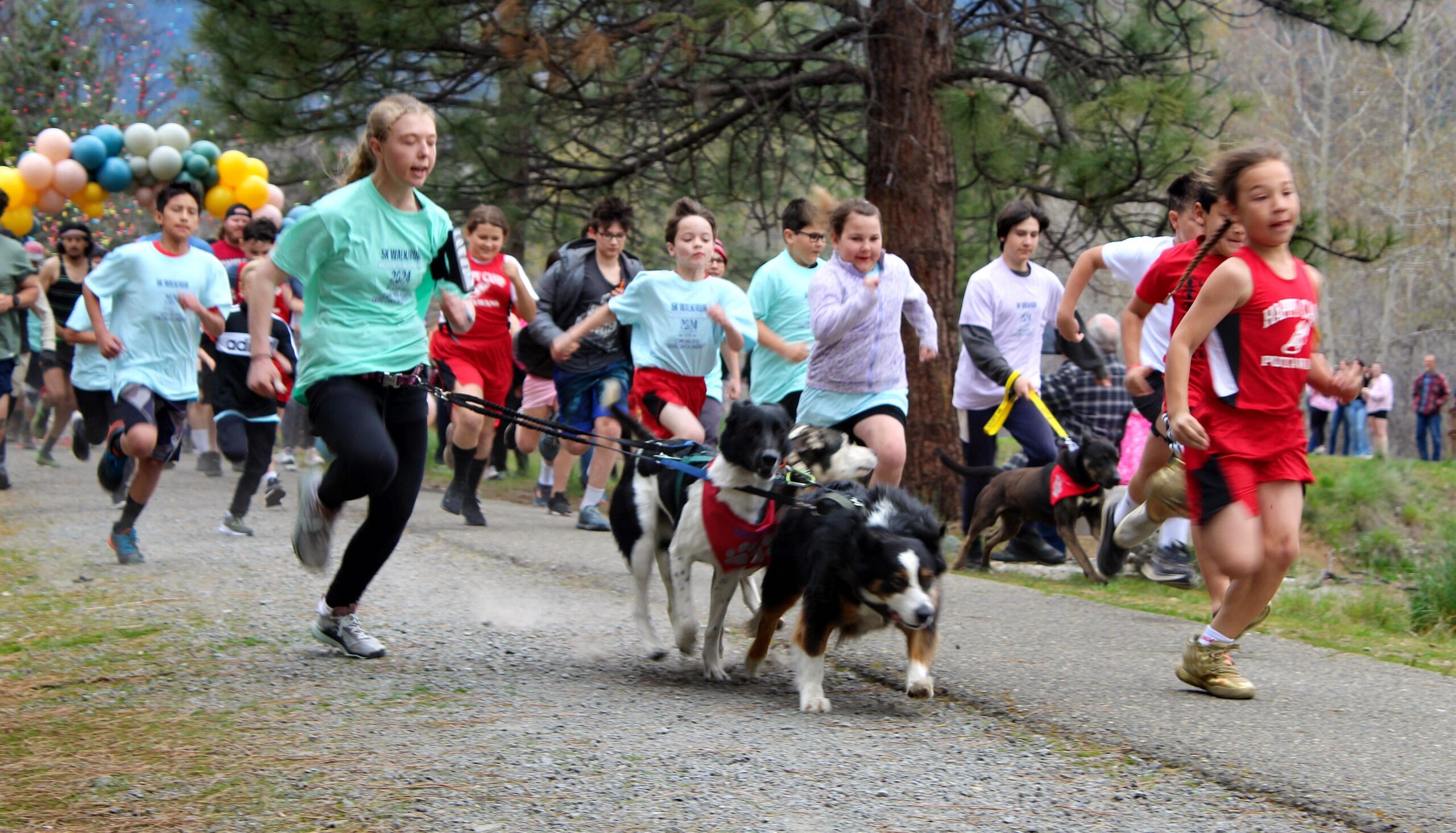 Shelter Dogs Shine Bright At 5k Run Hosted By Karuk Youth Leadership ...