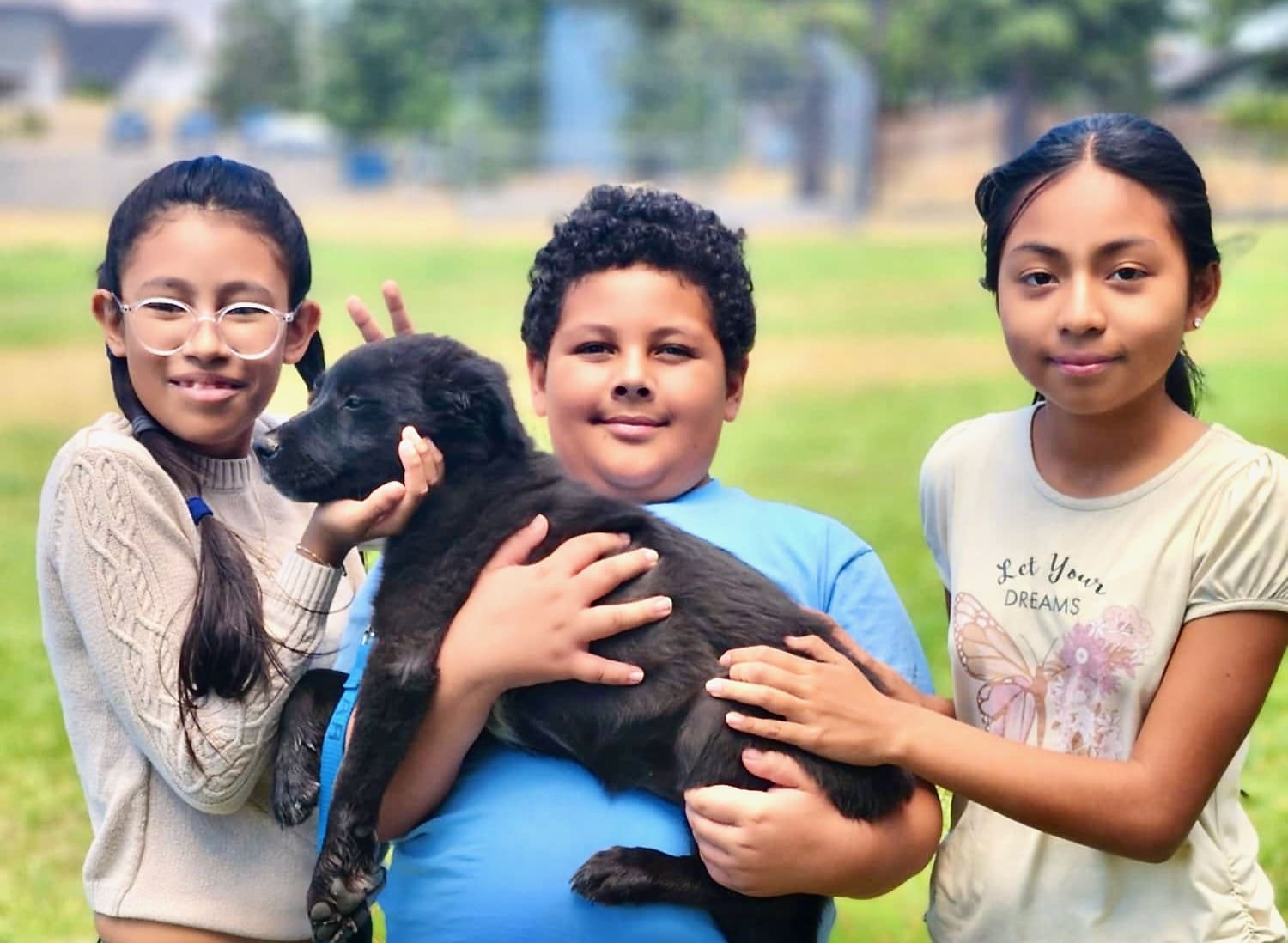 Where can kids and rescue pups learn skills together? At youth training ...