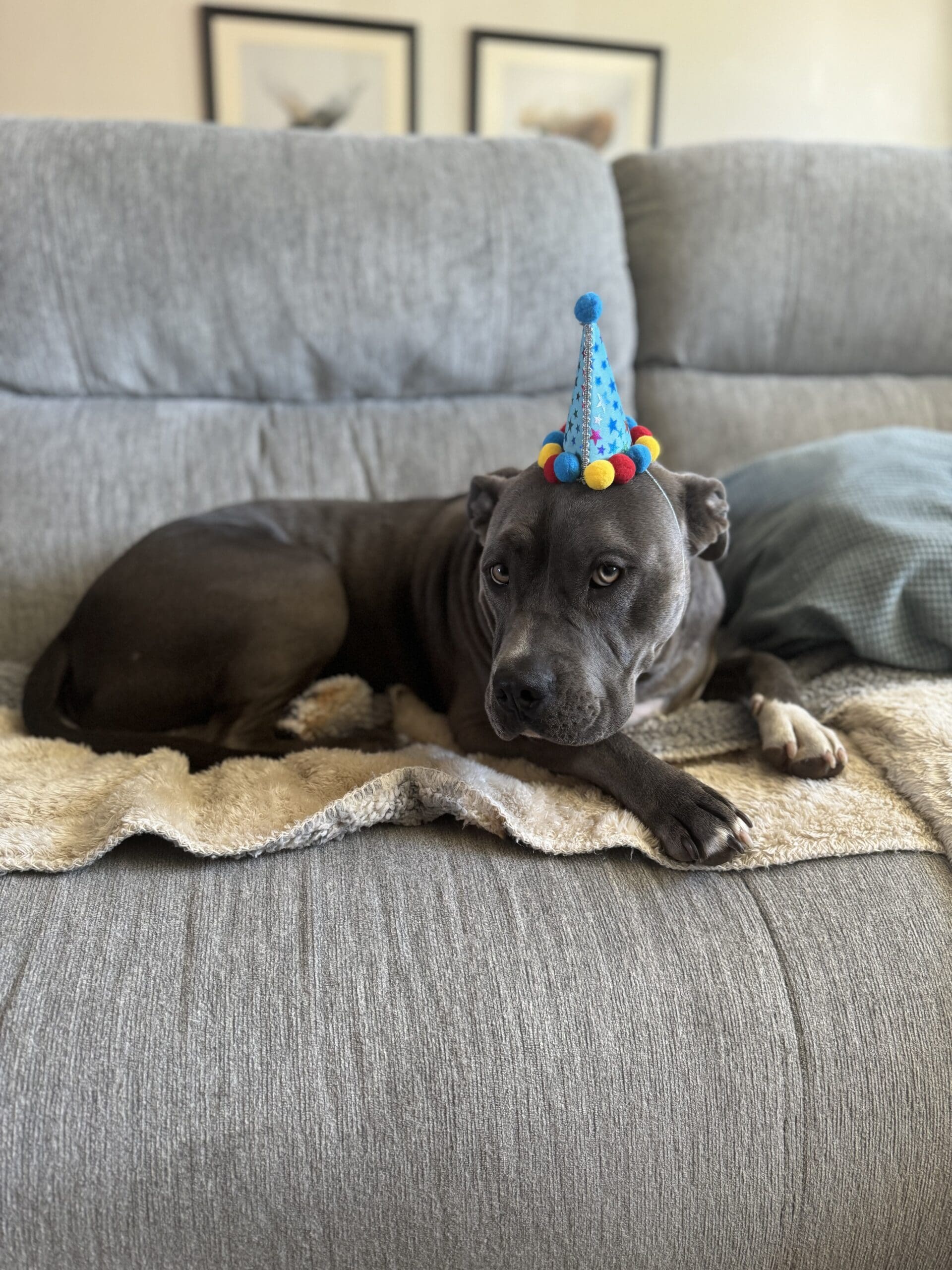 Rescue pup becomes nanny dog! - Rescue Ranch Inc.