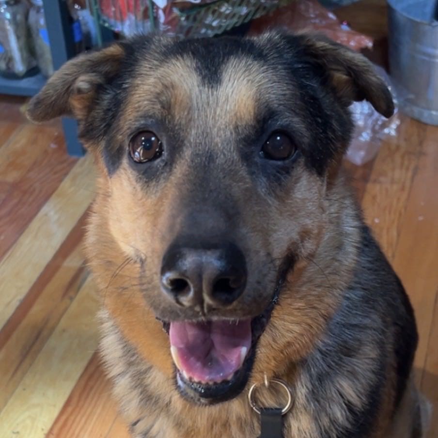 Chano - Rescue Ranch Inc.