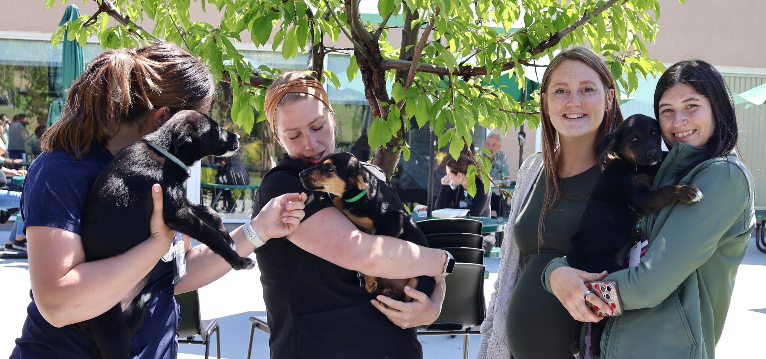 Rescue Ranch Pups Cheer Hospital Staff At Mental Health Awareness Event ...